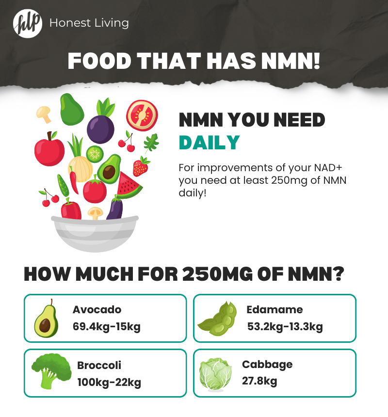 What you need to know about NMN – Simplified